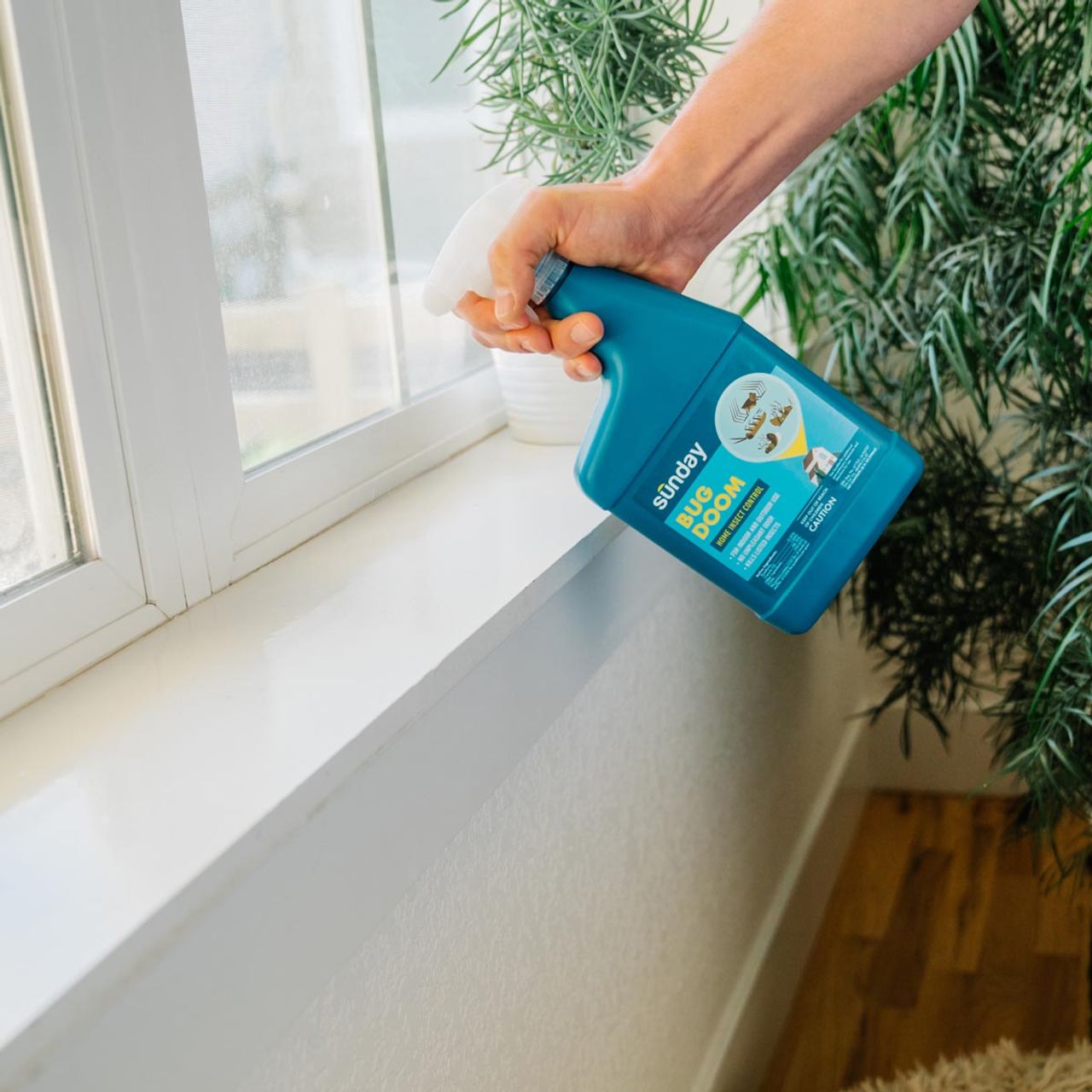 Indoor & Outdoor Pest Kit | Sunday Lawn Care