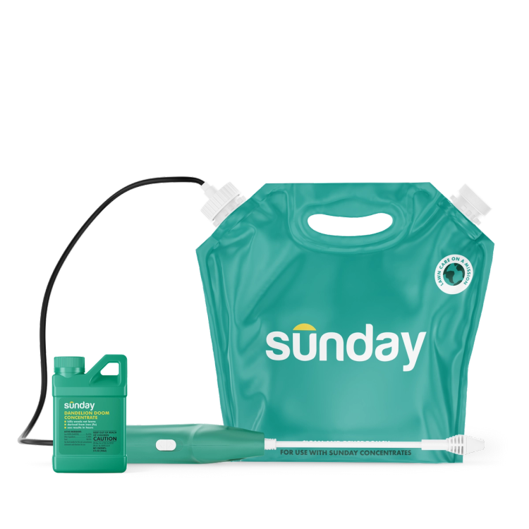 Ultimate Weeding Kit | Complete Lawn and Garden Weed Control | Sunday ...