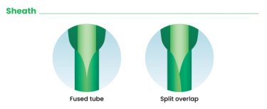 How to Identify Grass | Sunday Lawn Care