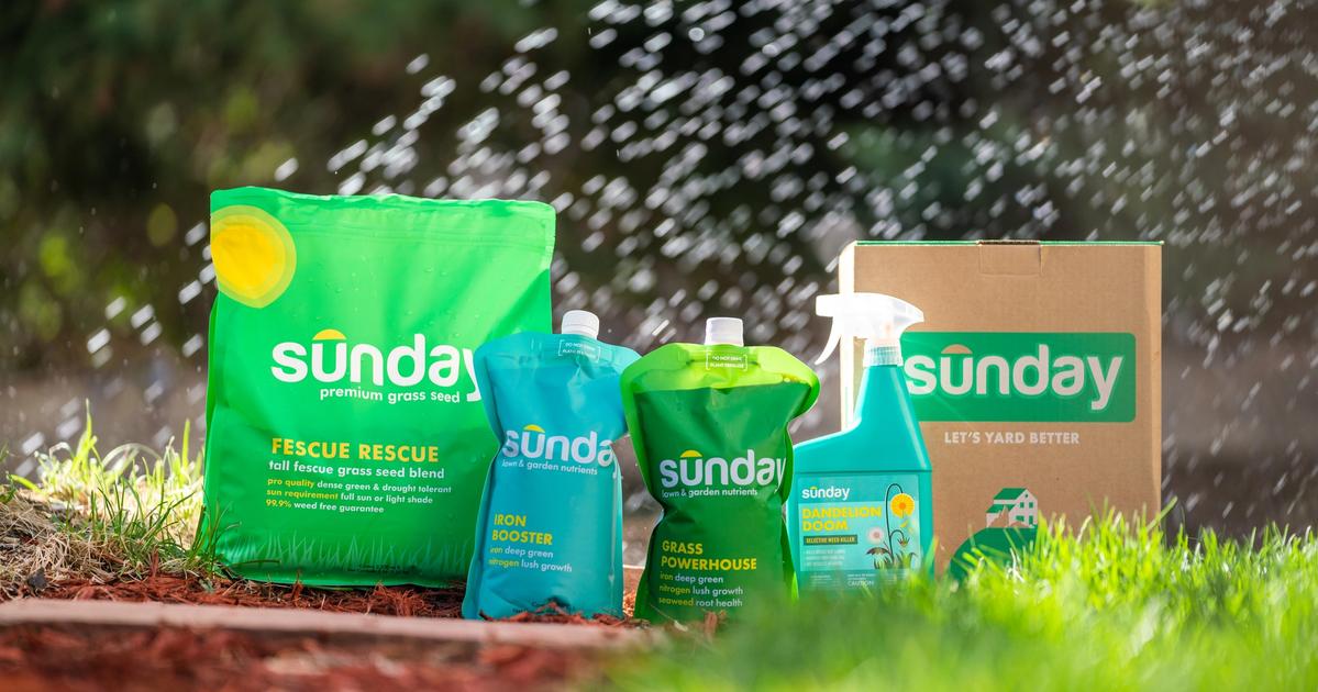 8 Reasons to Get Sunday | Sunday Lawn Care