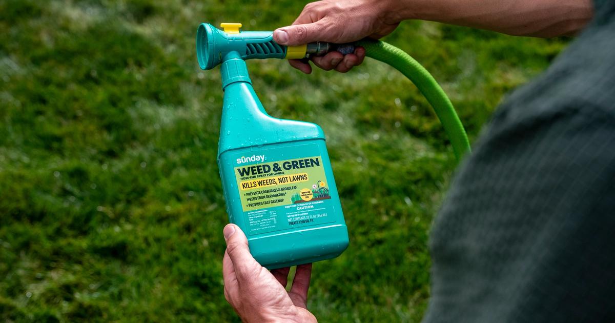 Guide to Sunday Sprayers: Matching the Perfect Sprayer to Every Product ...