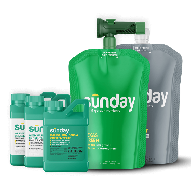 Texas Green Lawn Kit | Sunday Lawn Care