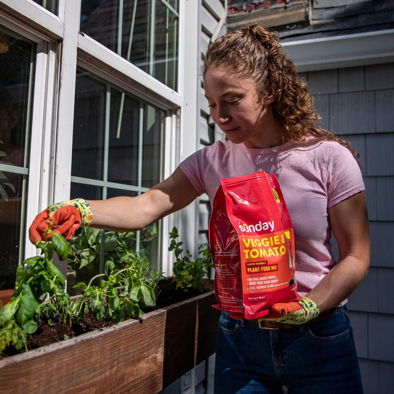 Complete Vegetable Fertilizer Kit | Sunday Lawn Care