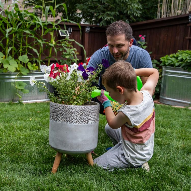 Start Your Lawn from Scratch Kit | Sunday Lawn Care