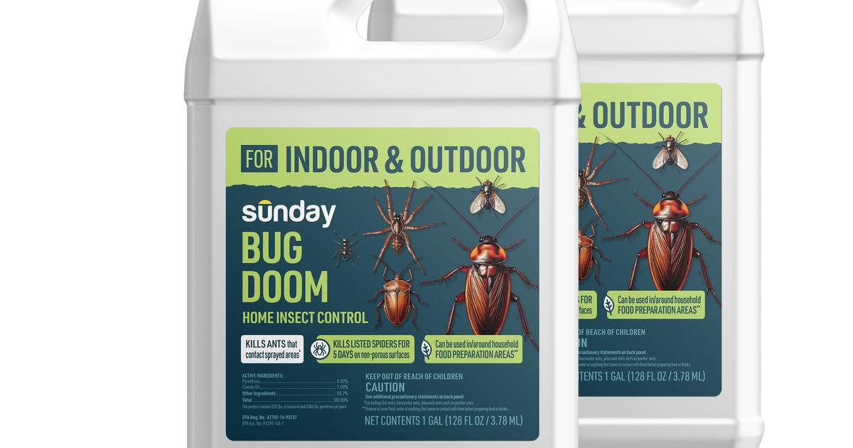 Sunday Bug Doom Home Insect Control (2 pack) | Sunday Lawn Care