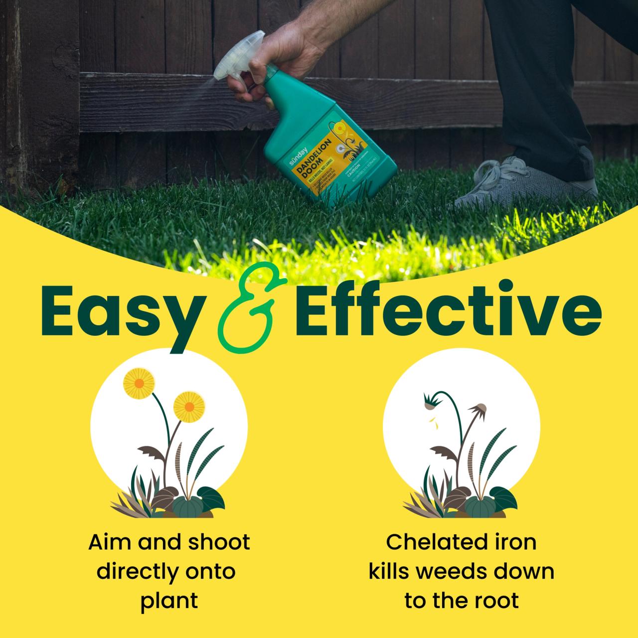 Dandelion Doom Lawn Weed Killer | Ready-to-Use Spot Treatment | Sunday ...