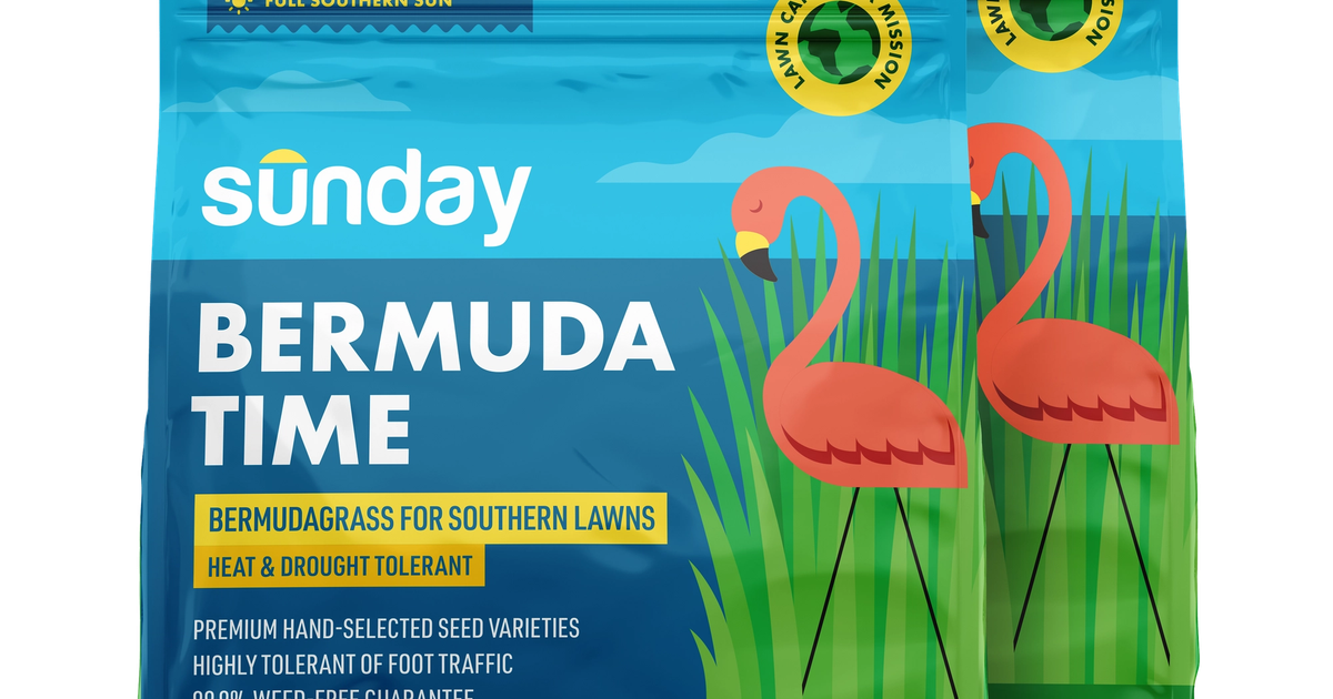 Bermuda Time (2-Pack) Common Bermudagrass Seed | Sunday Lawn Care