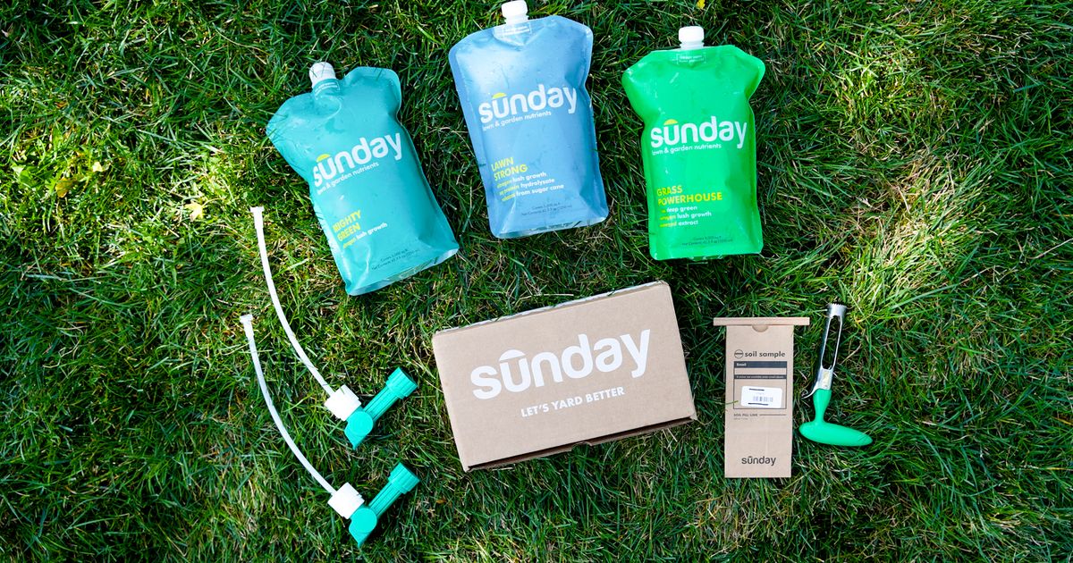 Custom Lawn Plan Tips | Sunday Lawn Care