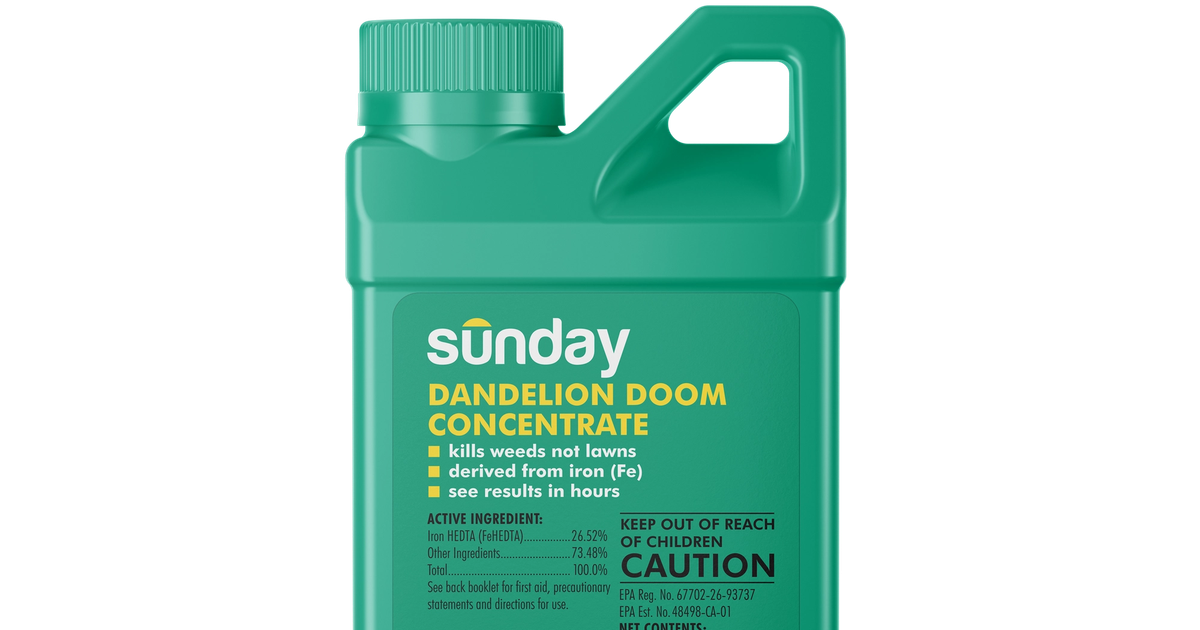 Dandelion Doom Concentrate Refill | Sunday Lawn Care
