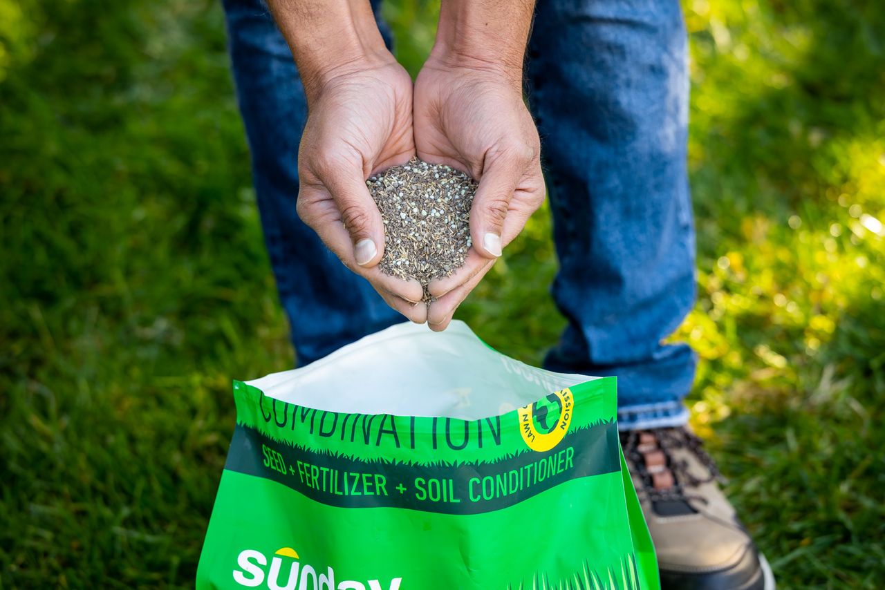 Sun & Shade Seed + Feed (2-pack) | Sunday Lawn Care
