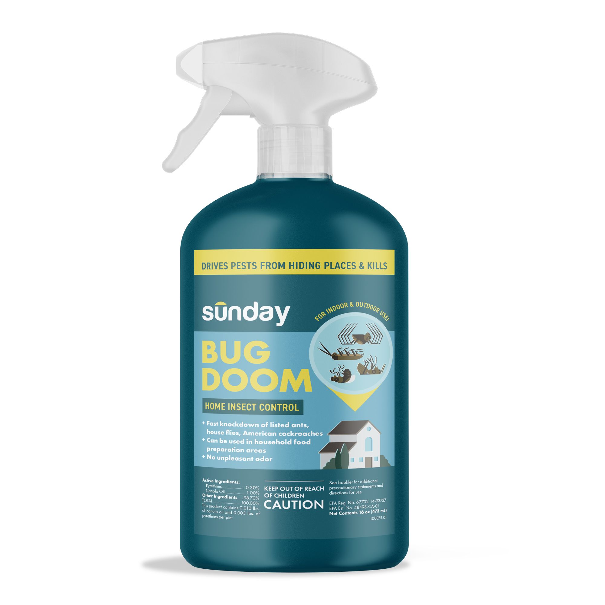 Bug Doom Home Insect Control Spray, 16 oz | Sunday Lawn Care