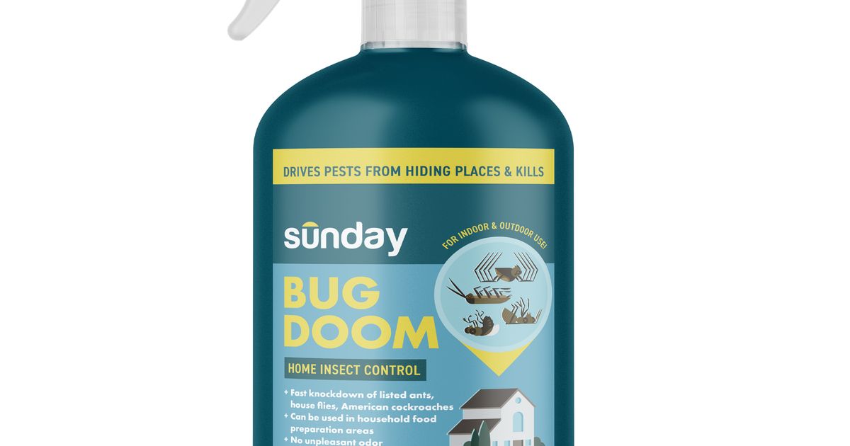 Bug Doom Home Insect Control Spray, 16 oz | Sunday Lawn Care