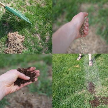 Patching Bare Spots in Your Lawn | Sunday Lawn Care