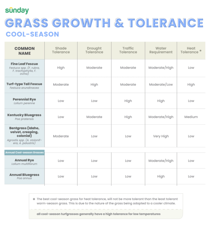 Warm-season Grass vs. Cool-season Grass: Choose the Right Grass for ...