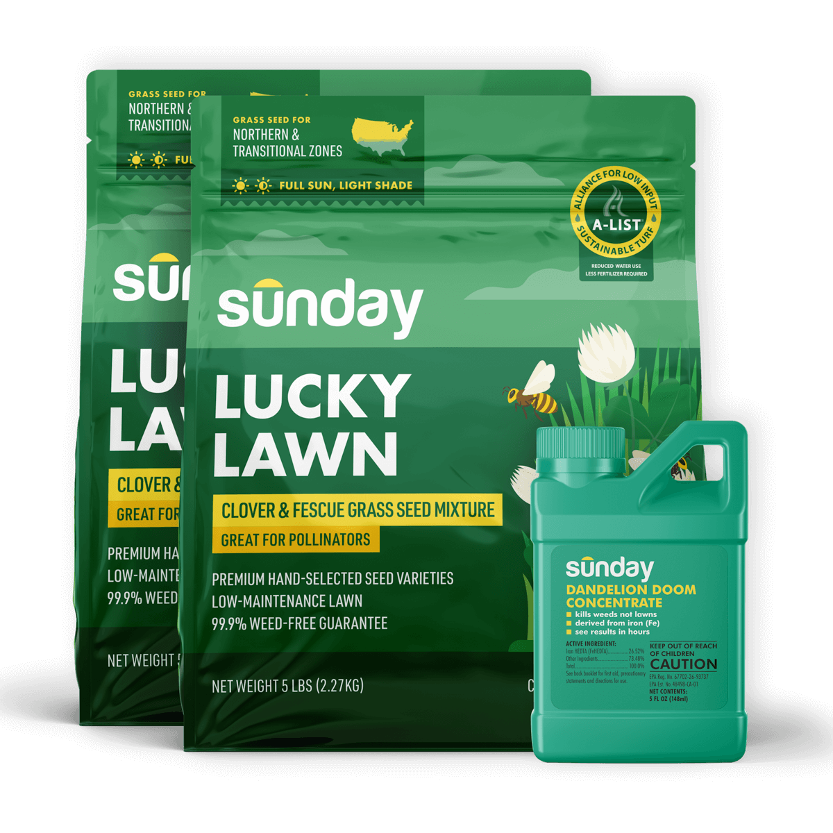 Lawn Care | Sunday Lawn Care