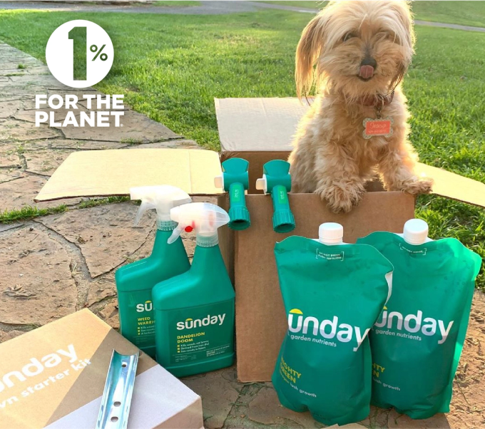 Sunday and Pets | Sunday Lawn Care