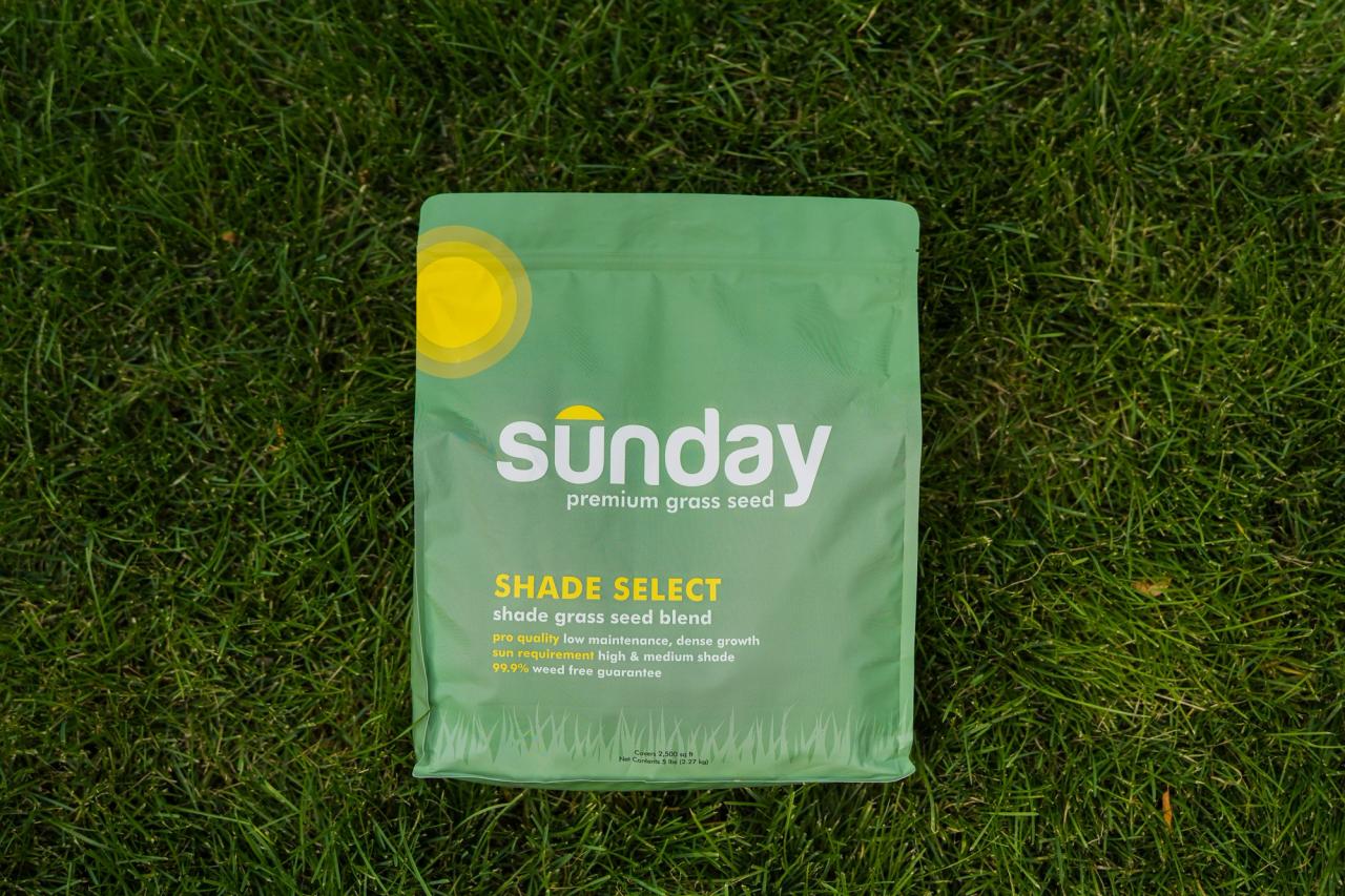 Shade Select Grass Seed (2-pack) | Sunday Lawn Care