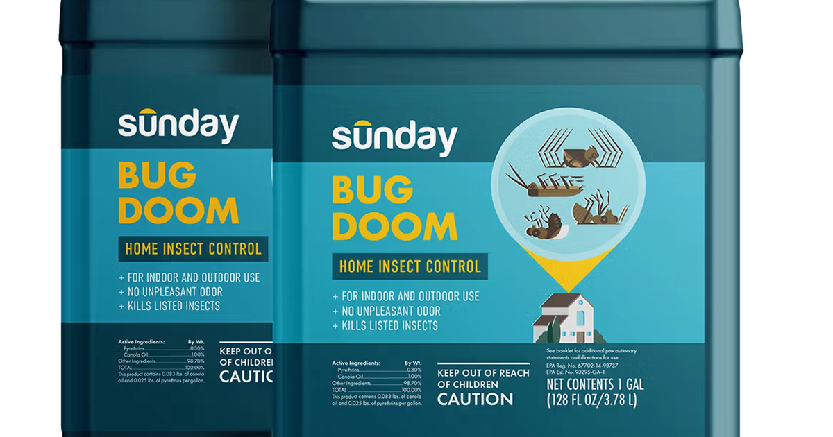 Sunday Bug Doom Home Insect Control (2 pack) | Sunday Lawn Care