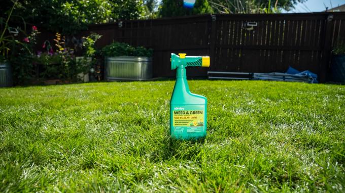 Weed & Green Pre-emergent Instructions | Sunday Lawn Care