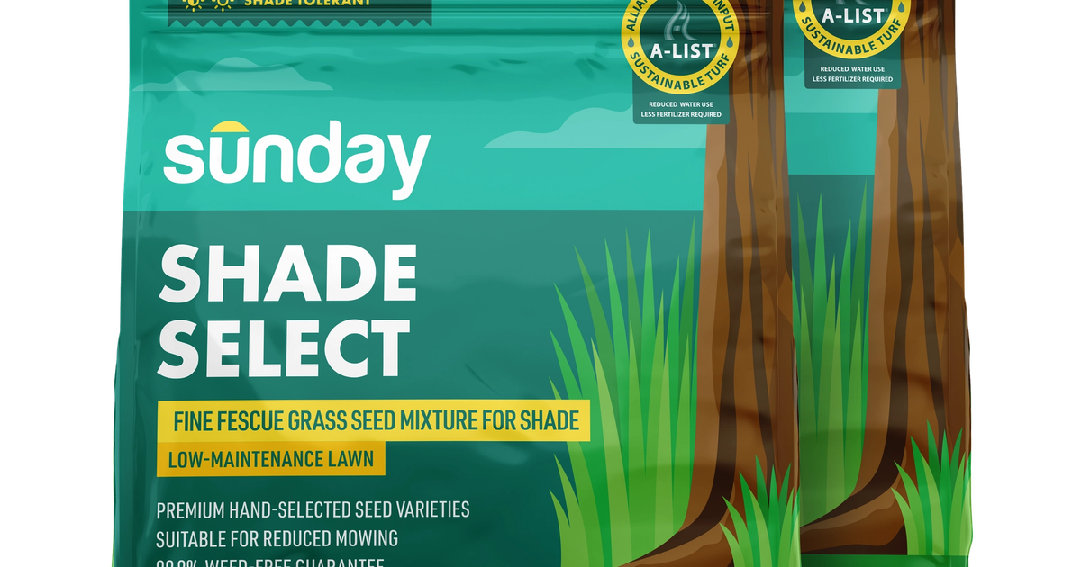 Shade Select Grass Seed (2-pack) | Sunday Lawn Care