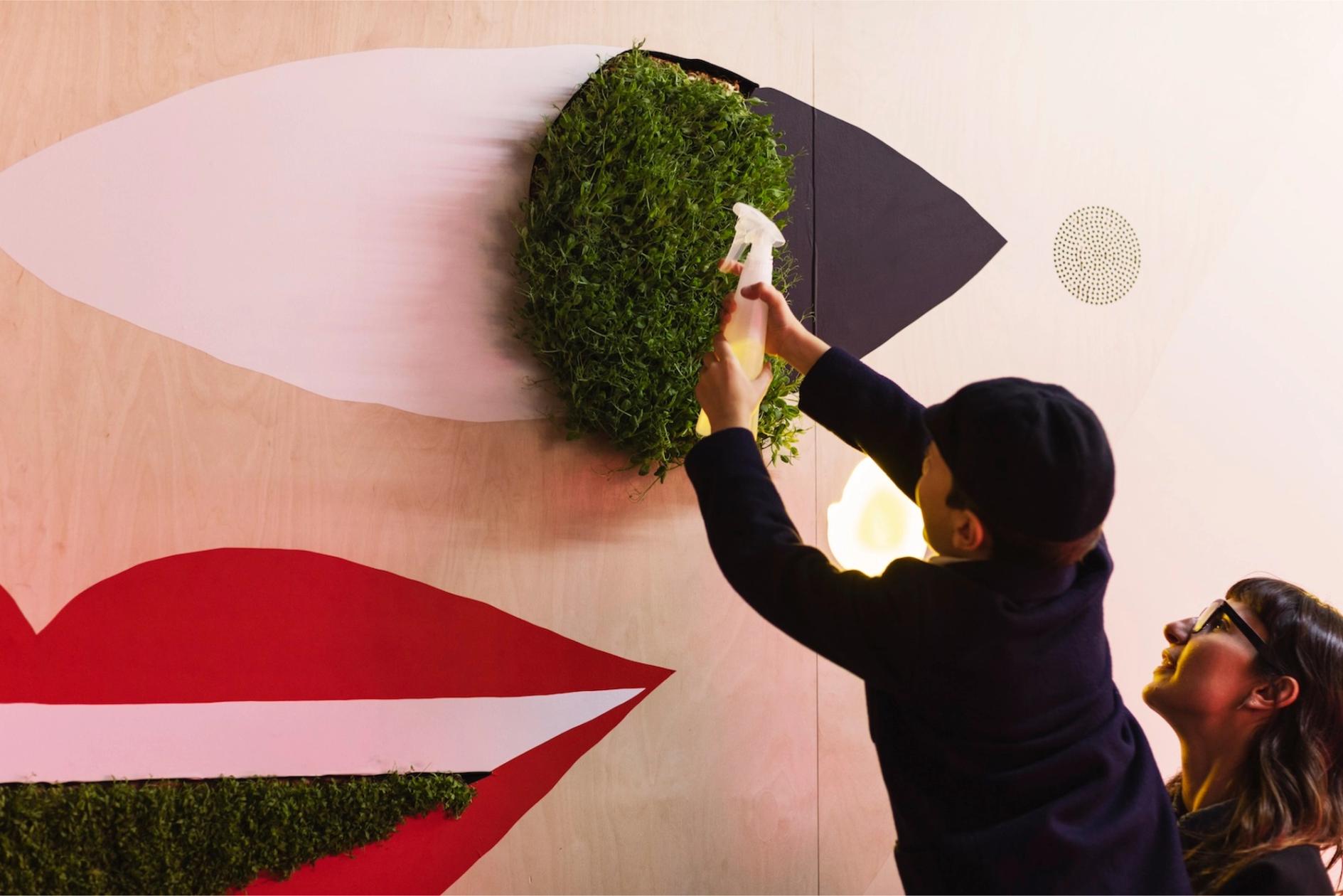 Lokal: Serving Fresh Food Right Where It’s Grown