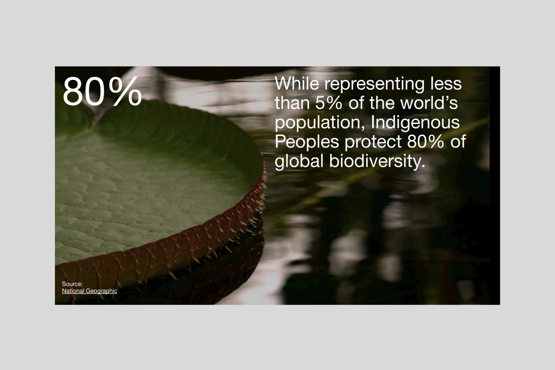 Future Forest: Towards Sustainable Smart Forestry