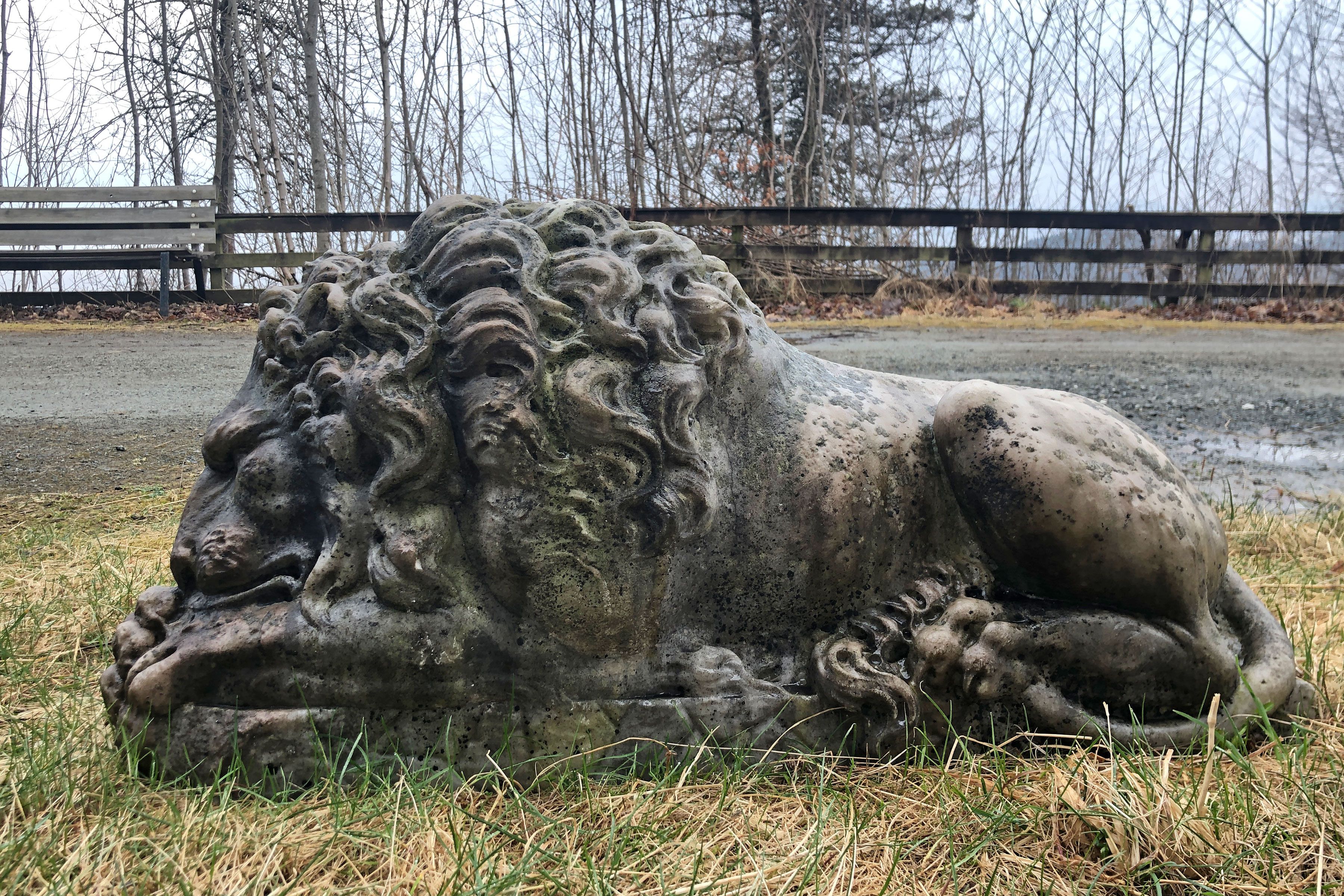 Ny vending: Hugsa du løve-saka på Lio?