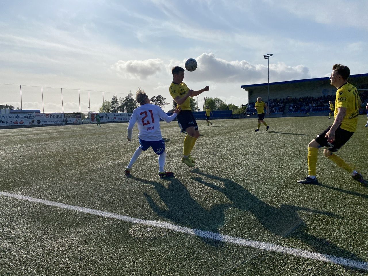 NM: Lysekloster - Os