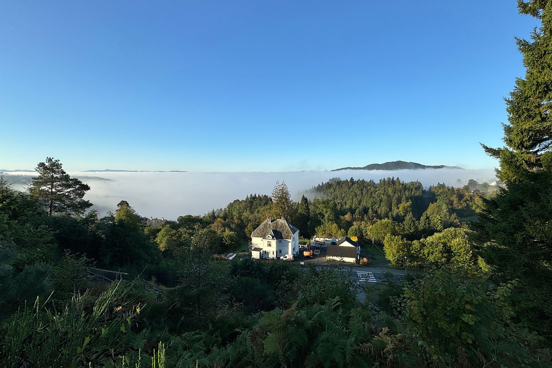 Foggy friday
