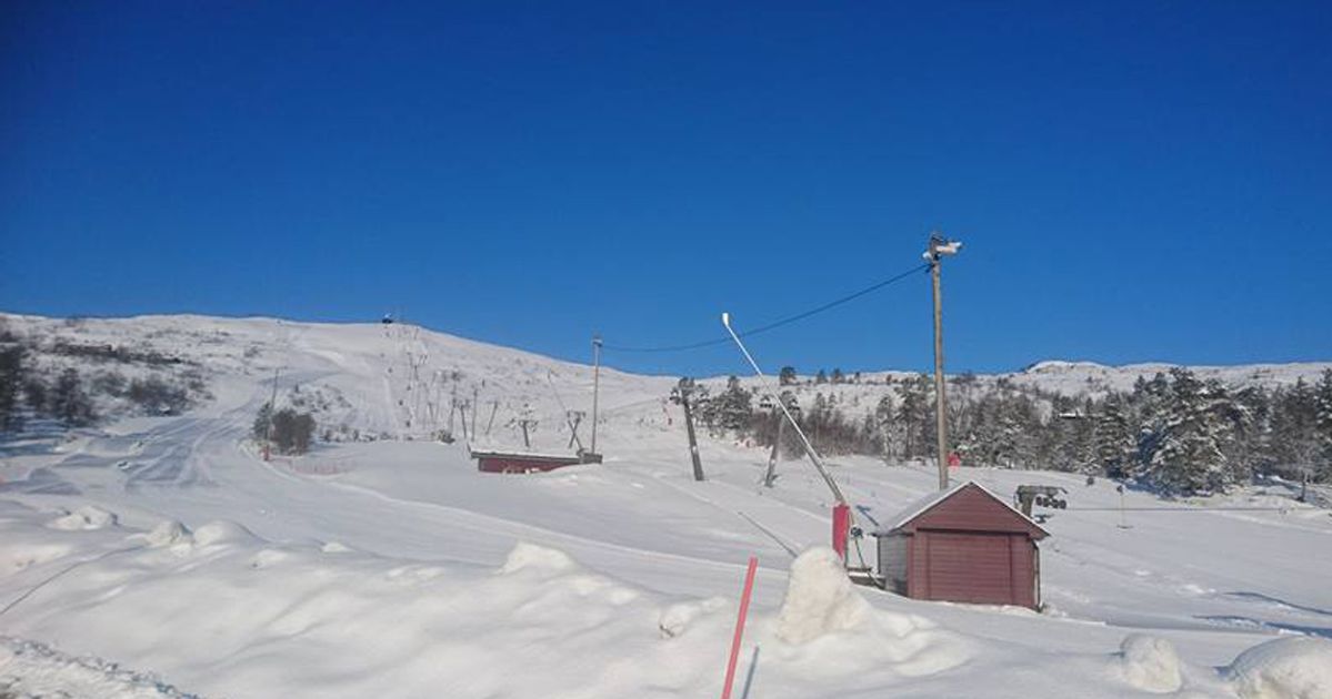 15 cm nysnø på Kvamskogen - Midtsiden