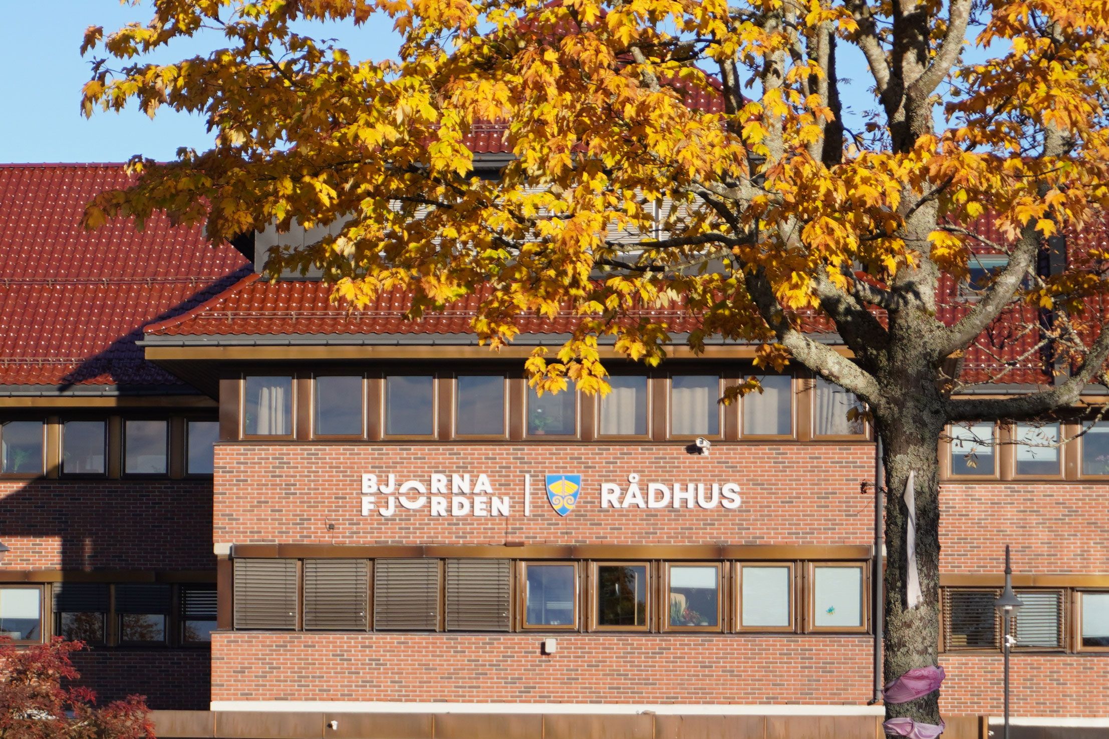 Kva for fargar skal ein kle seg i ...? - Midtsiden