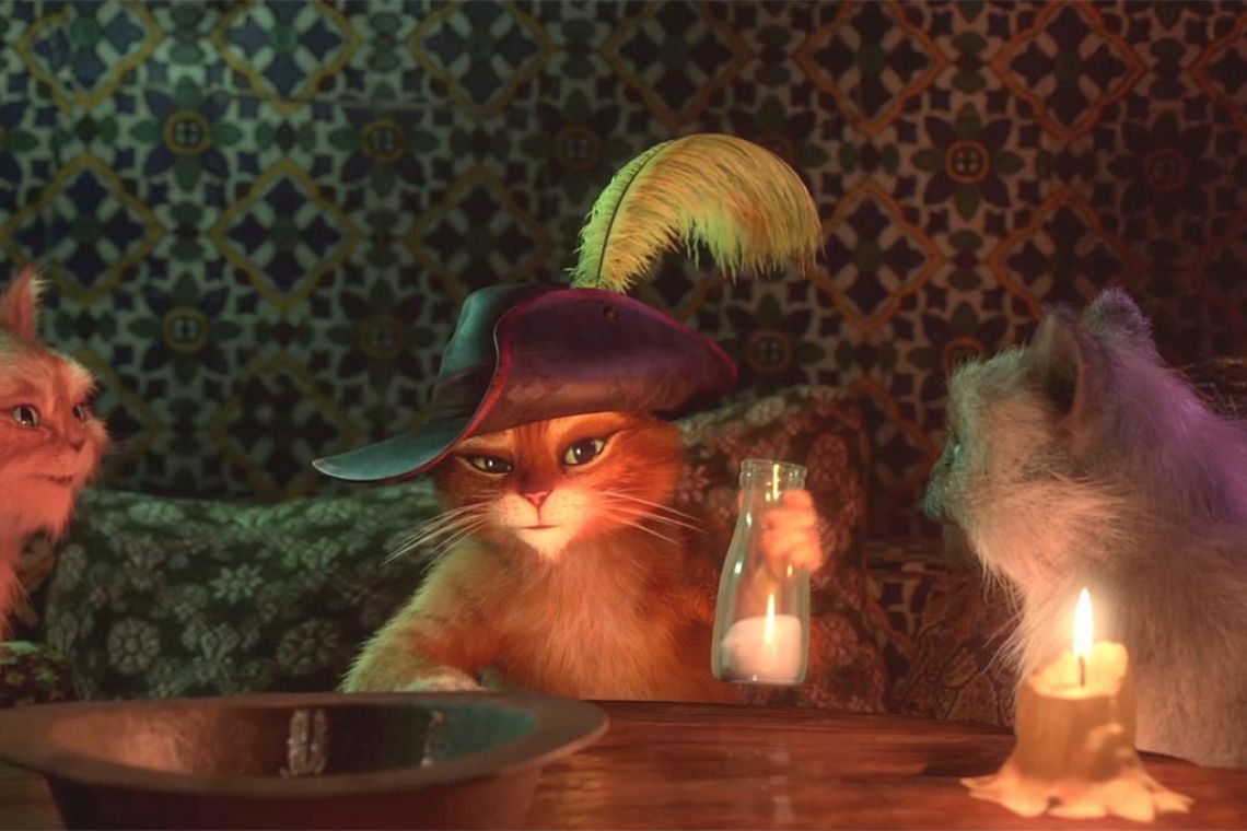 Katt, Koht og tanntroll