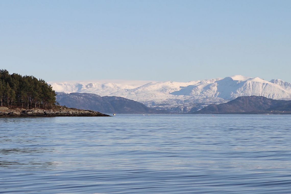 Statens vegvesen - vesen eller uvesen? - Midtsiden