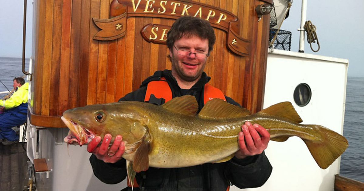 Stor fisk og artige artar - Midtsiden