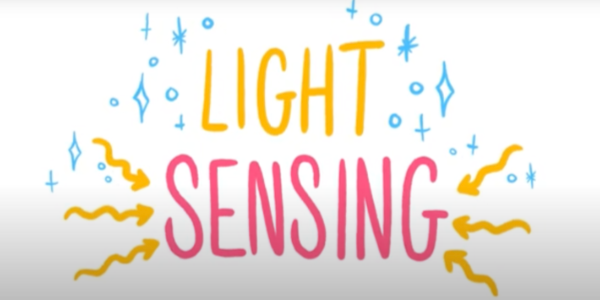 Light sensing projects for your class | micro:bit