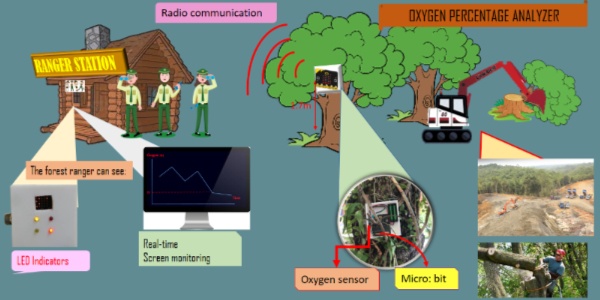 Malaysian students invent device to detect deforestation | micro:bit