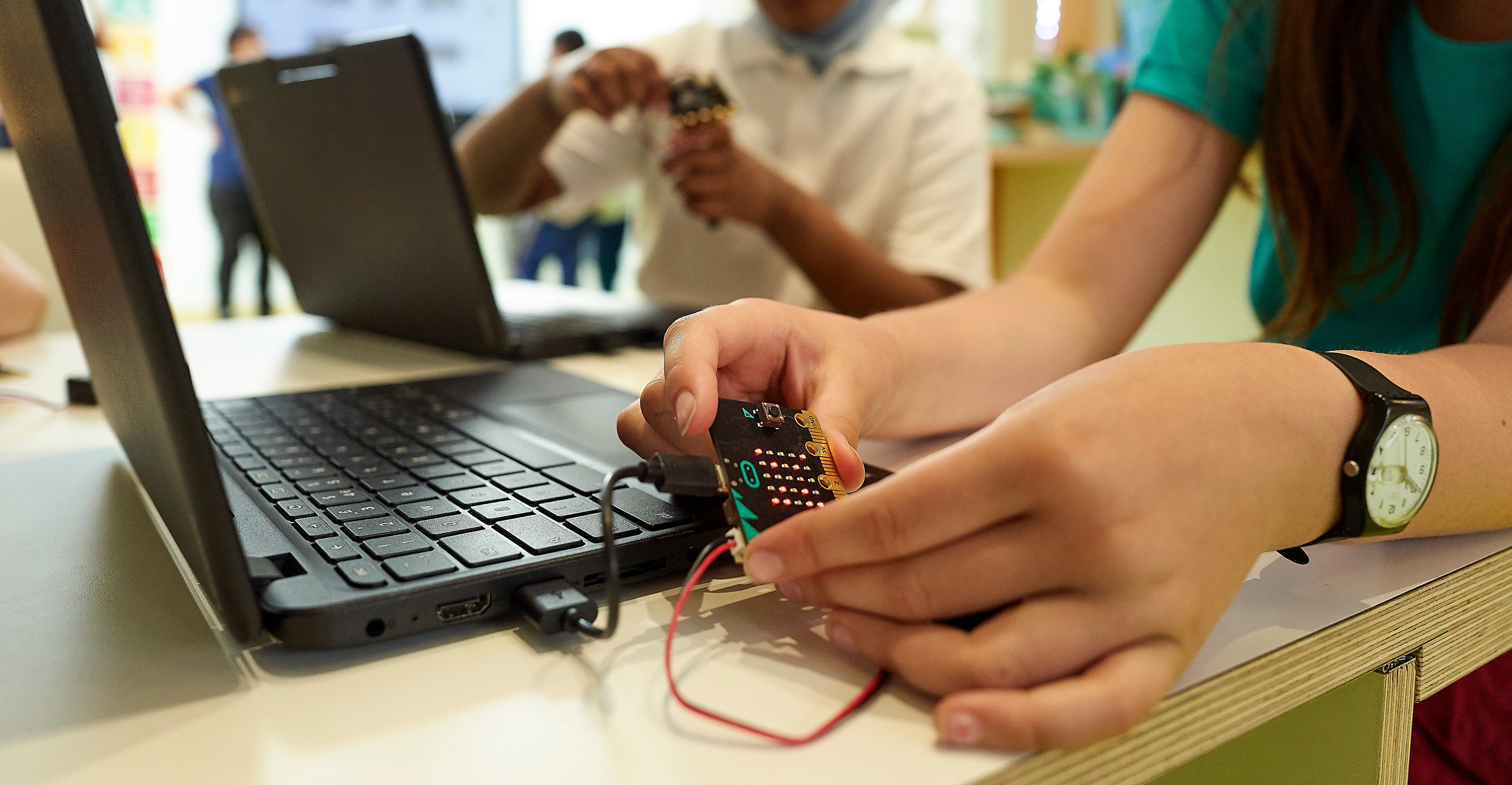 WISE Program | micro:bit