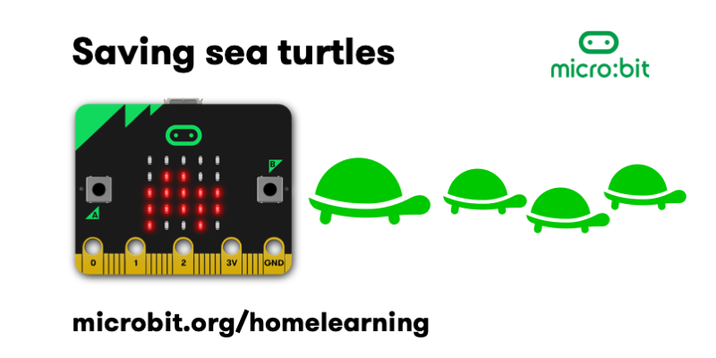 micro:bit at home - saving sea turtles | micro:bit