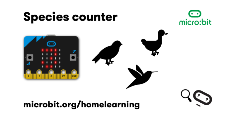 micro:bit at home - species counter | micro:bit