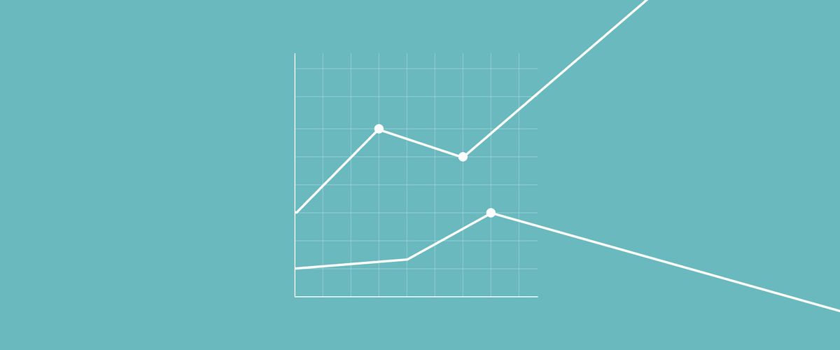 Flight Digital | Digital Marketing & Website Design Agency Auckland, NZ