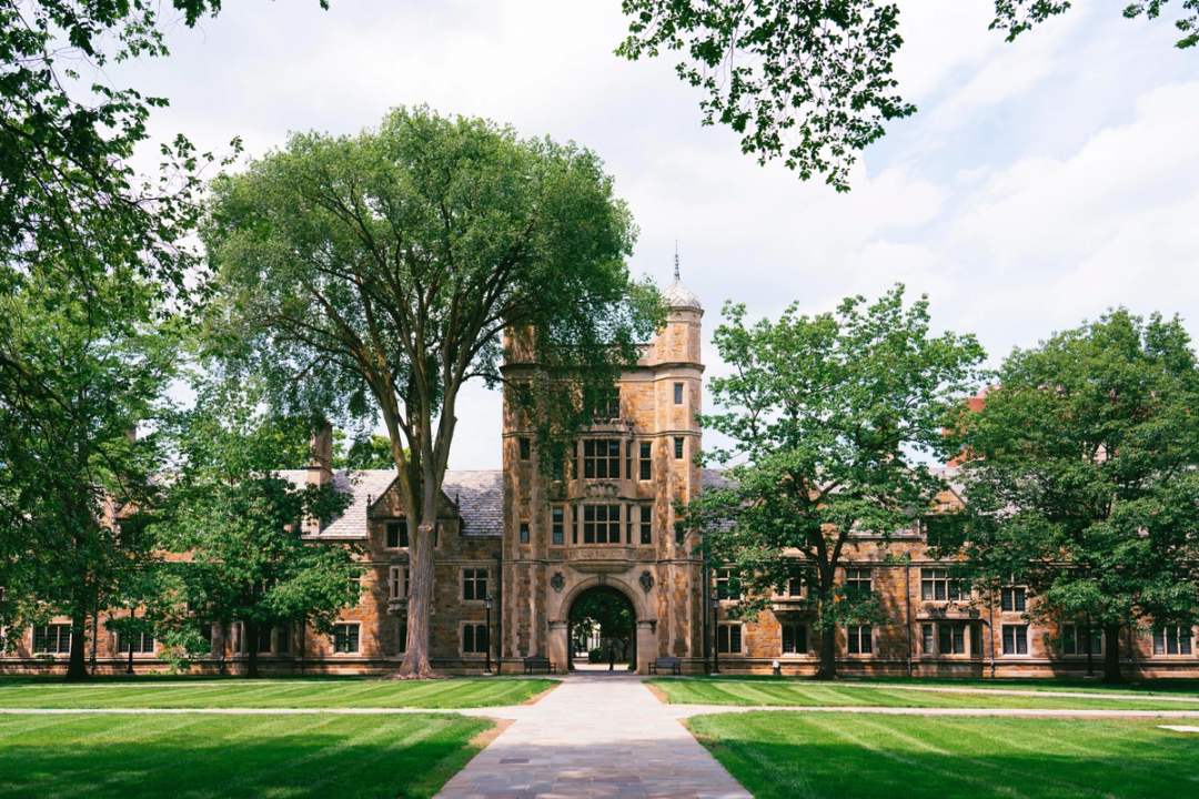 University of Michigan Acceptance Rate (2024-2025) — Breakdown ...
