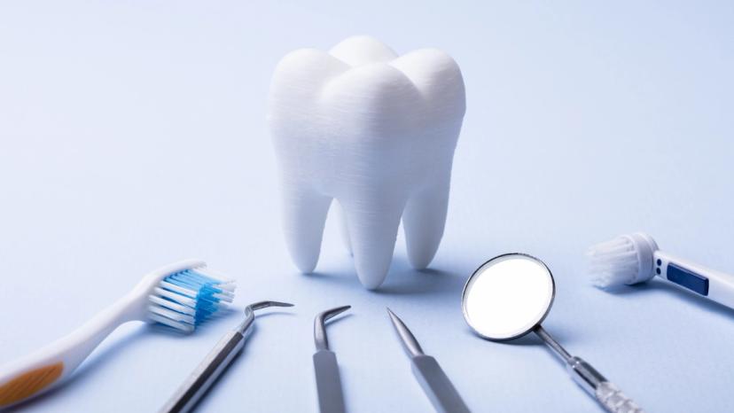 List of Dental Schools in North Carolina in 2026 (Dental & Dental ...