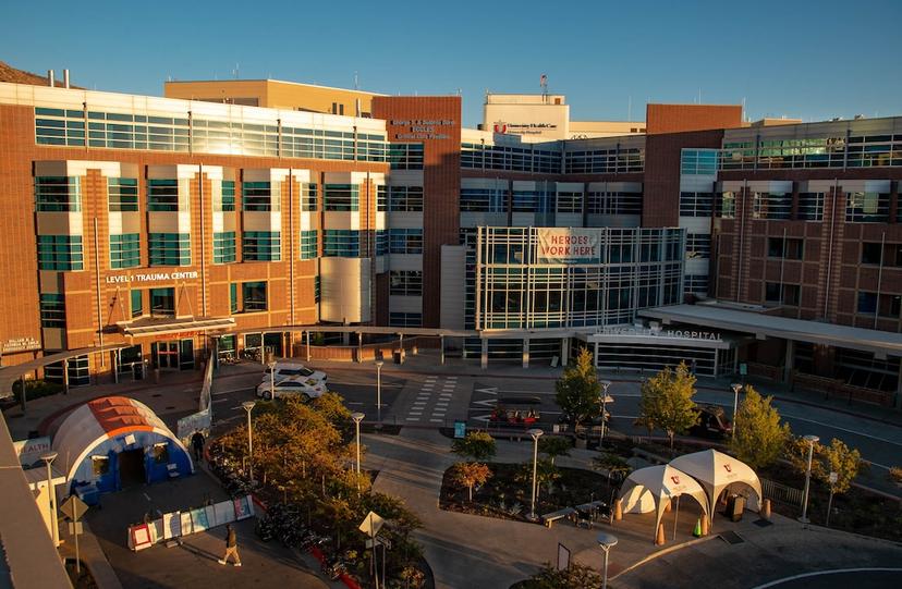 Top 20 Physician Assistant Programs: With Acceptance Rates, Class Stats ...