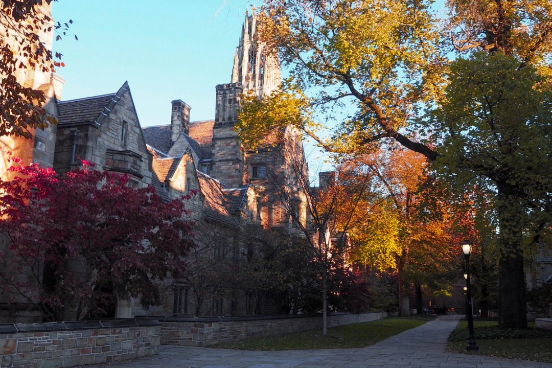 AAMC Core Competencies for Pre-Med: What to Know in 2025 | Leland