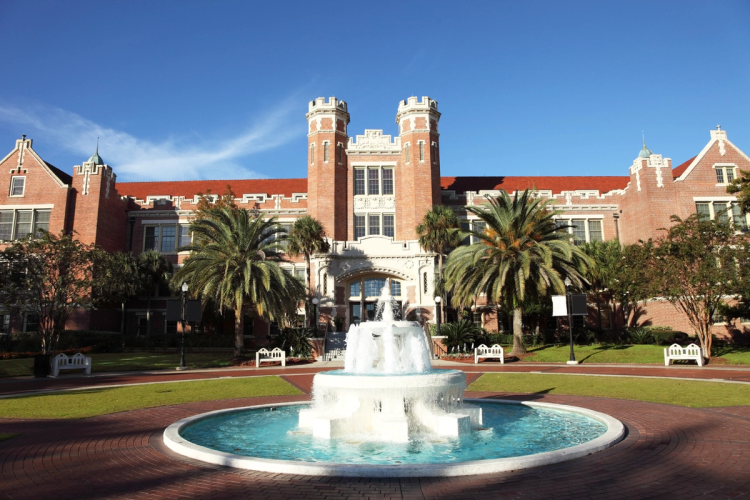 How to Get Into UF Law School (2024-2025) | Leland
