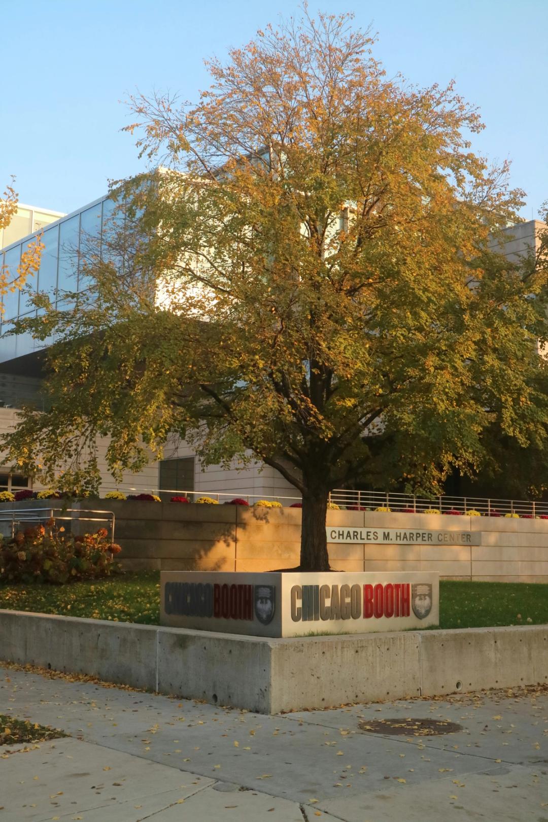 Chicago Booth — MBA Program & Application Overview | Leland