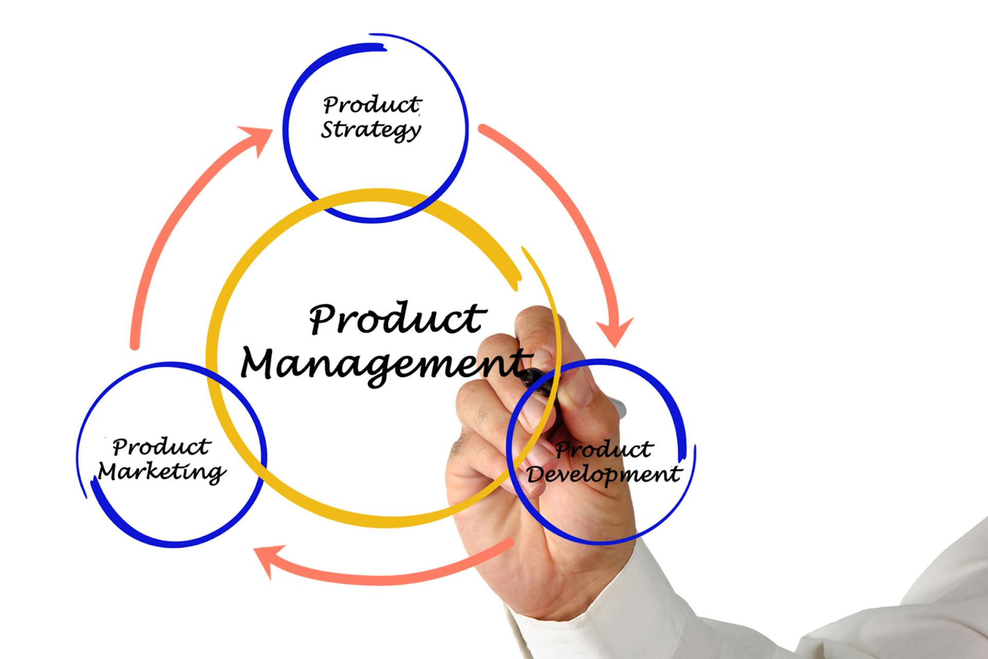 How to Become a Product Manager (For Every Career Stage) | Leland