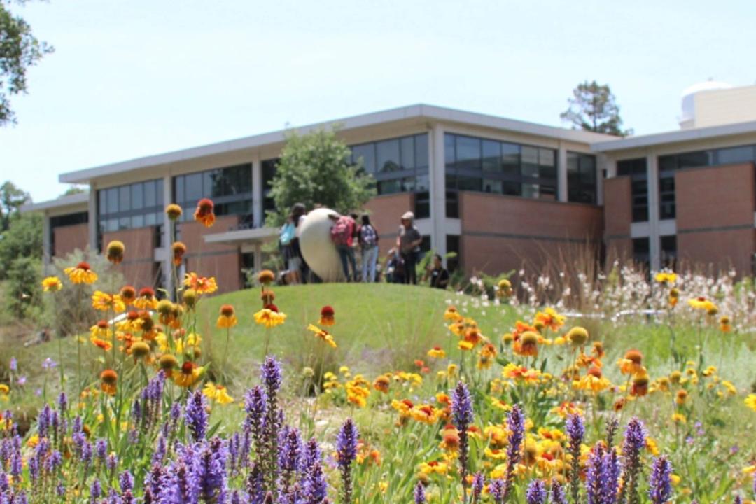 The Top 10 Executive JD Programs | Leland