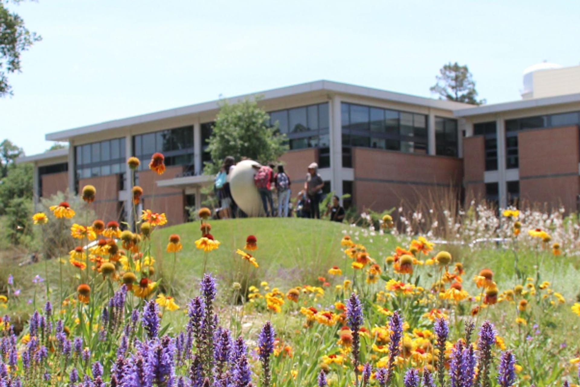 How to Get Into Georgetown Law School (2025) – Acceptance Rate, Ranking ...