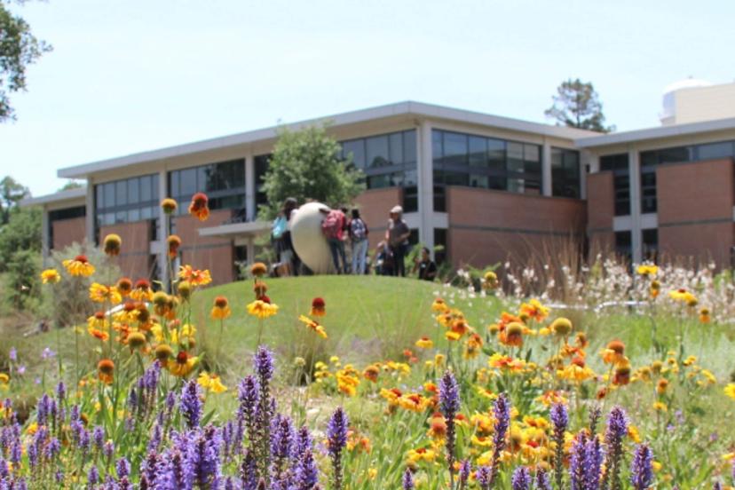 The Top 10 Executive JD Programs | Leland